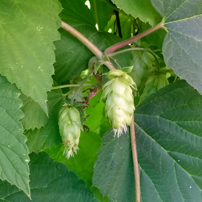 October 2014 – Imablog